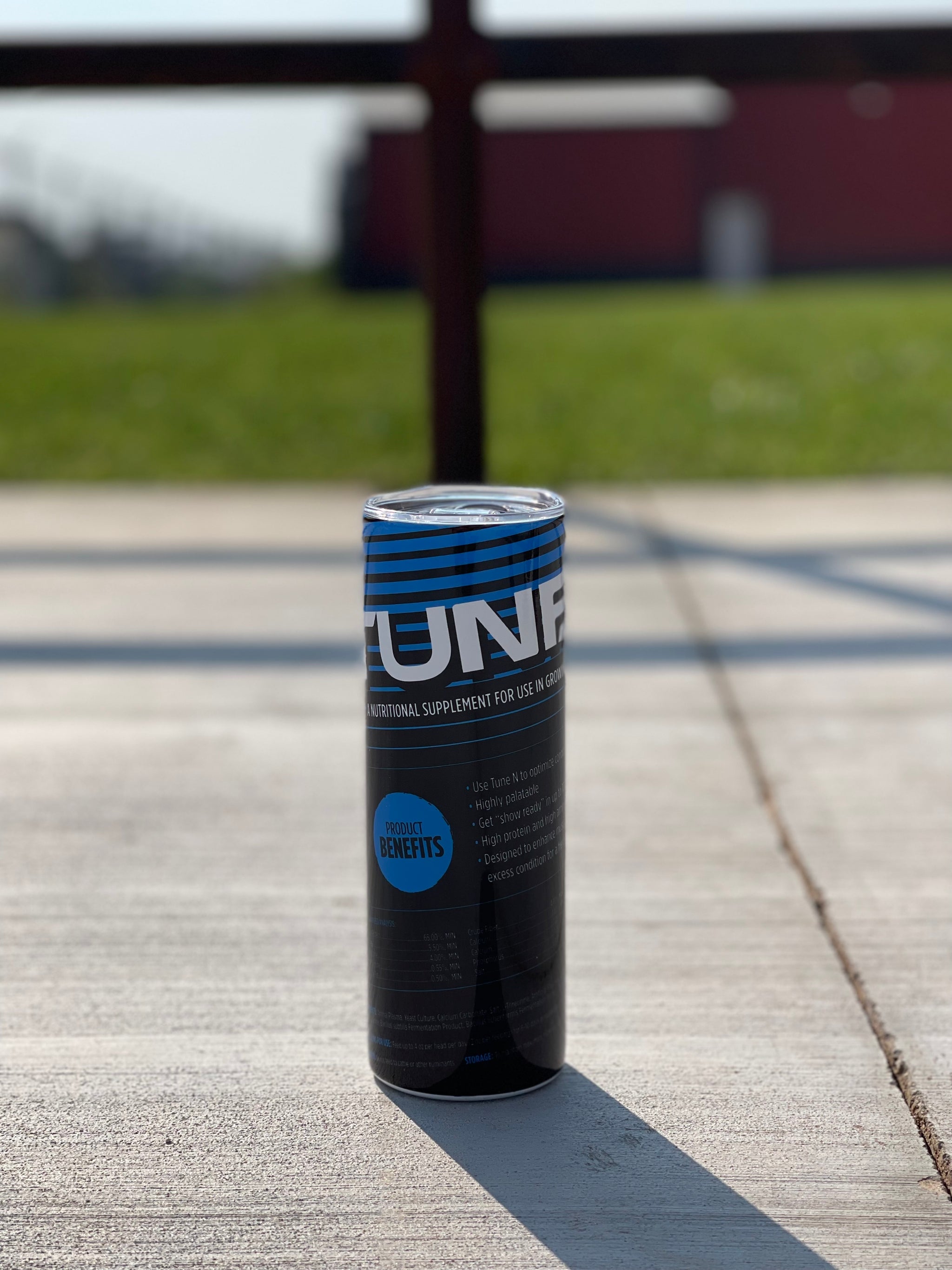 Stainless Steel Tumblers- TUNE IN – Lindner Show Feeds